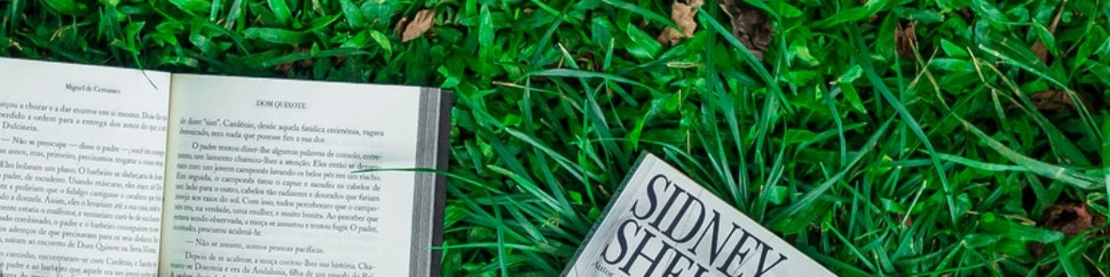 cropped-Books-on-grass.jpg – Literature and Humanities